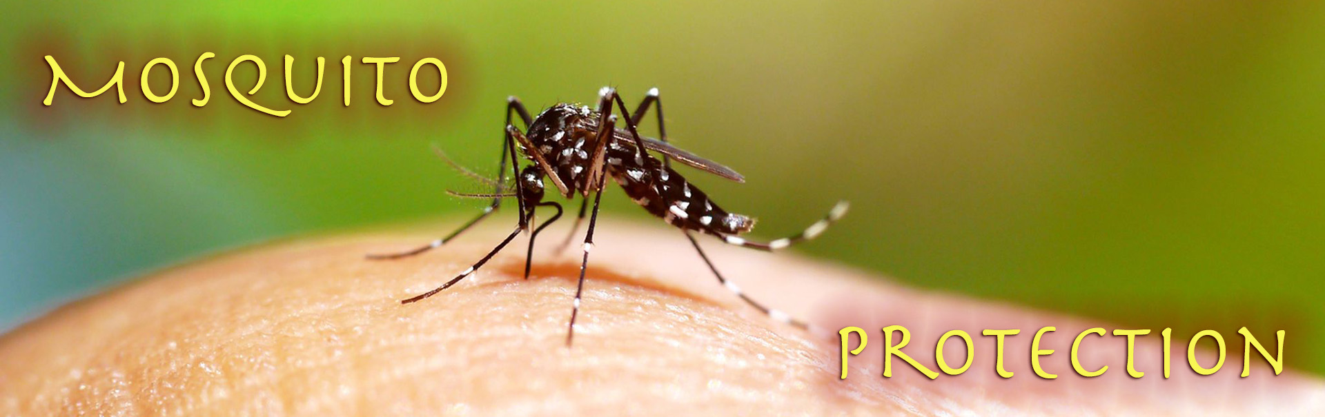 Mama Aline | Anti-mosquito pproject
